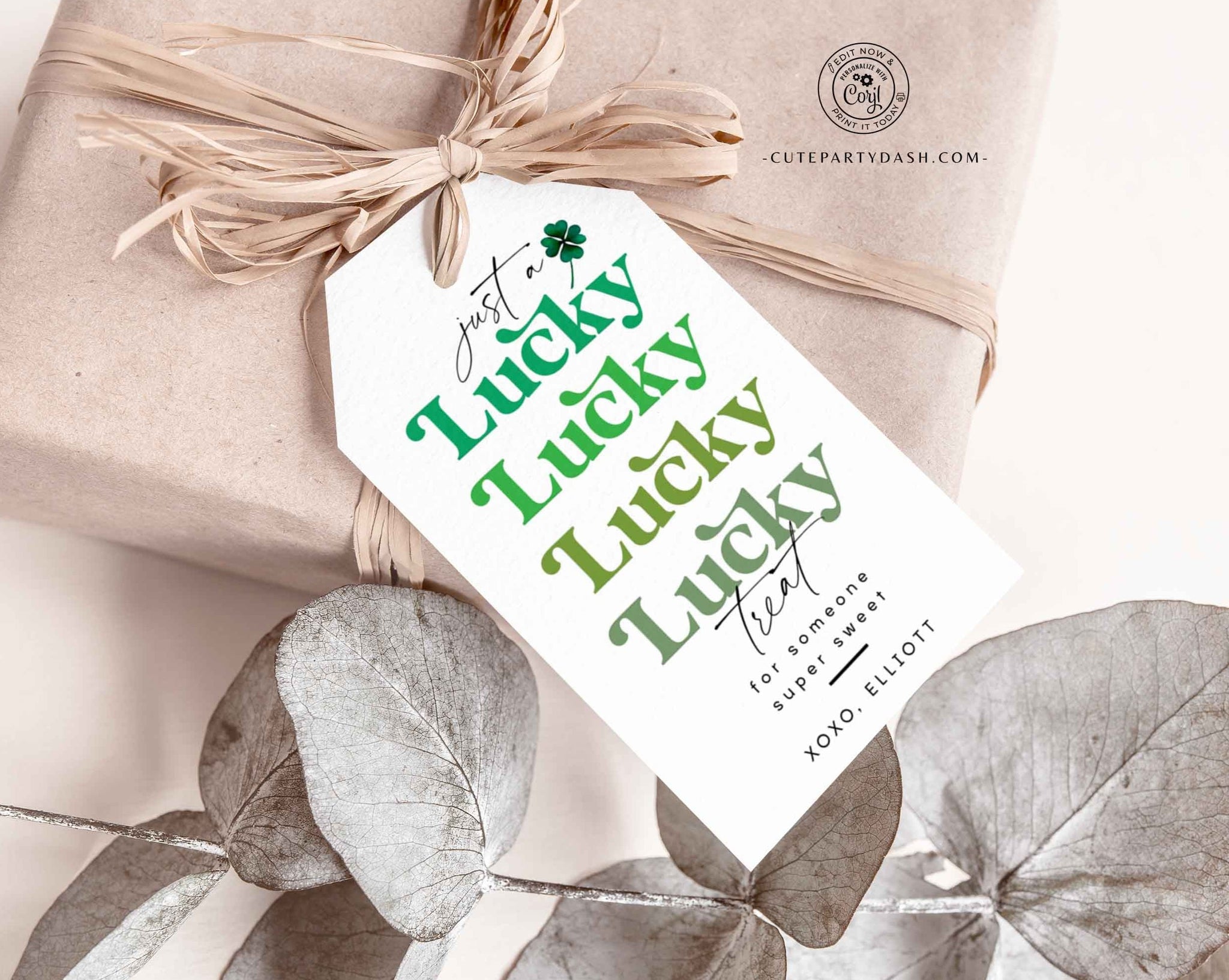 Minimalist Lucky Treat for someone sweet Gift Tags, Happy St. Patrick ...